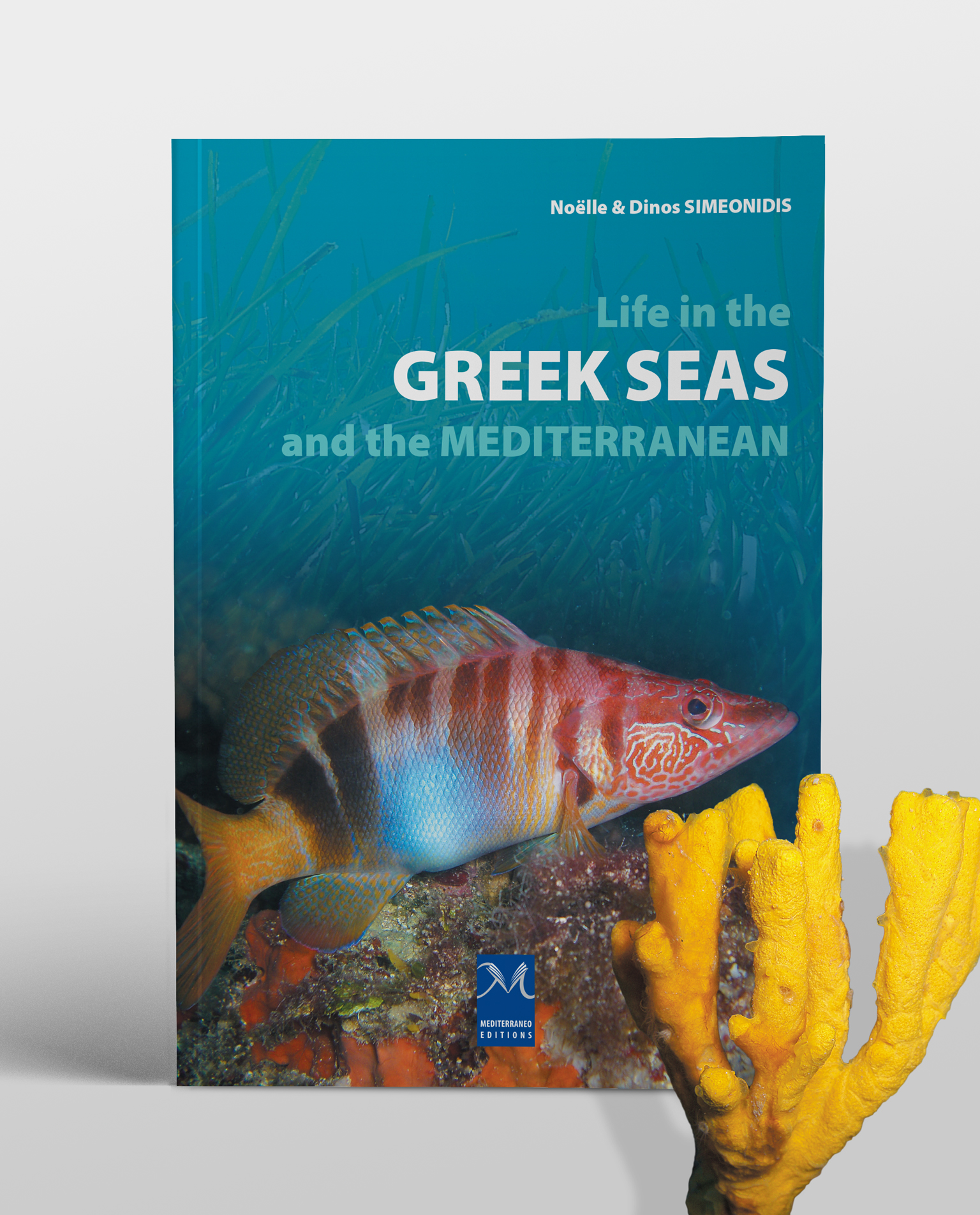 LIFE IN THE GREEK SEAS AND THE MEDITERRANEAN | Mediterraneo Eshop