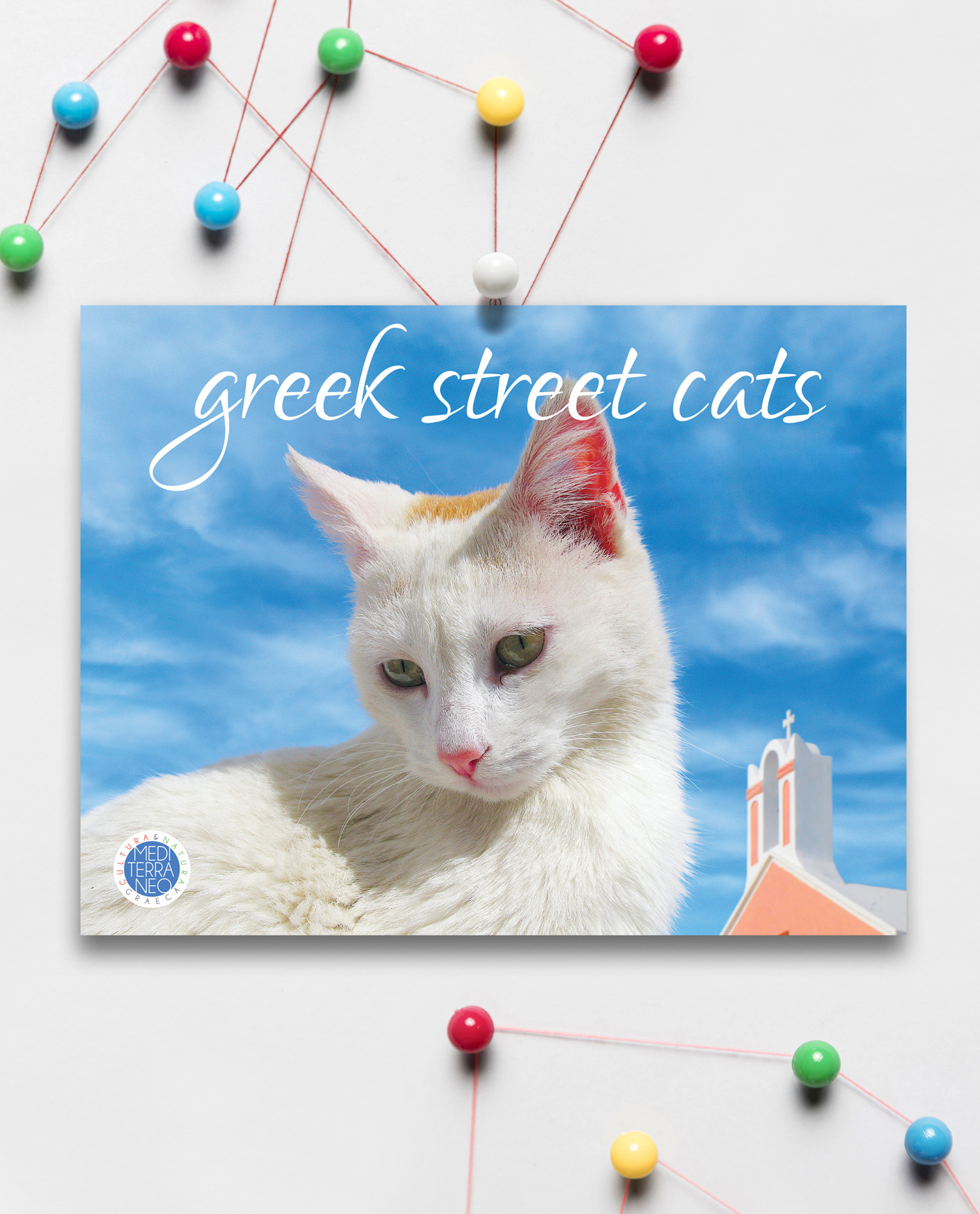 GREEK STREET CATS 30cm x 23cm | Mediterraneo Eshop