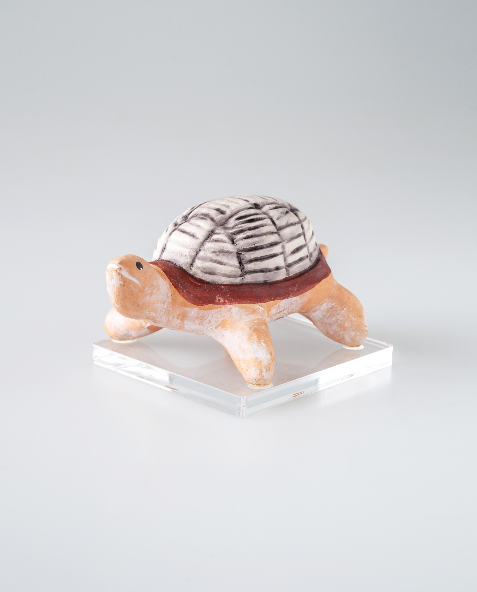 TURTLE | Mediterraneo Eshop