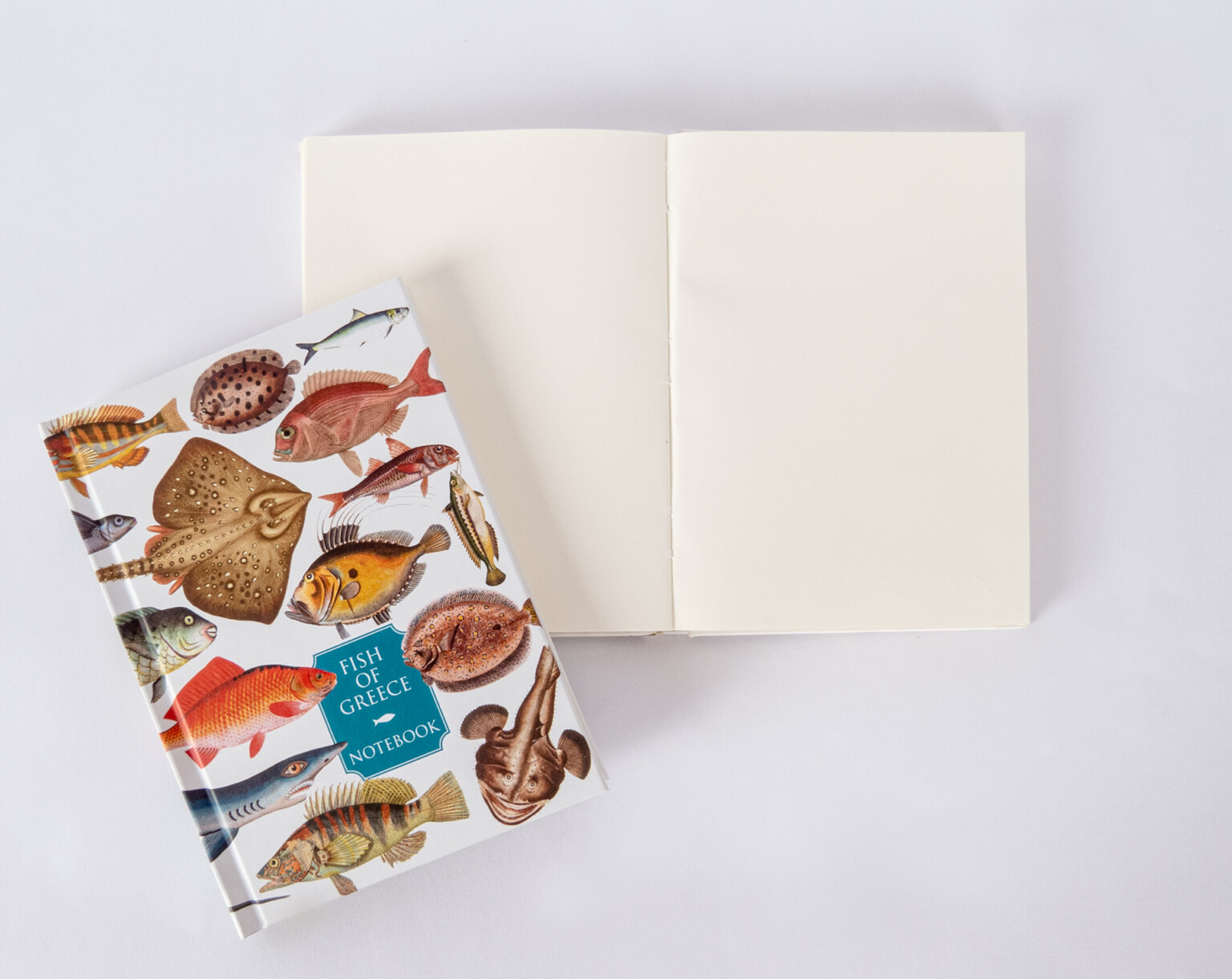 Hardcover notebook with fish of Greece print | Mediterraneo